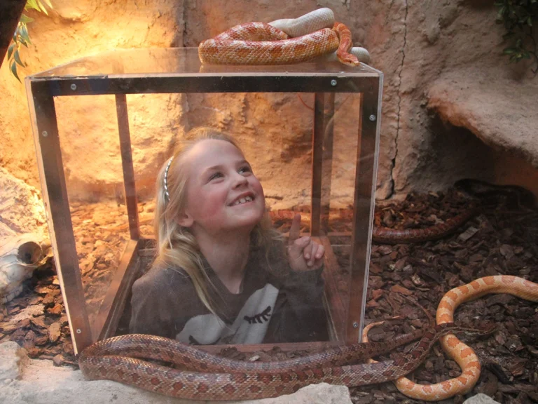 Dierenpark Almere Jungle viert tienjarig jubileum - Almere Jungle